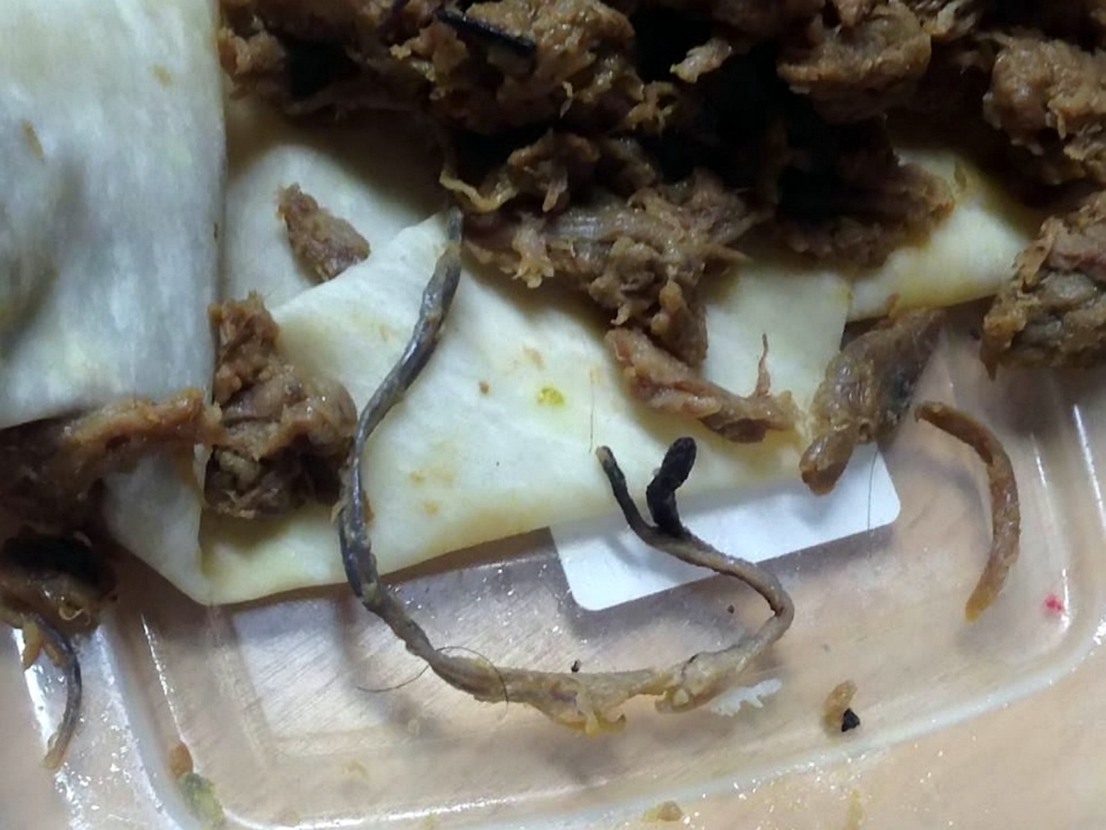 SWNS_PANCAKE_WORMS_04 - Real-Fix